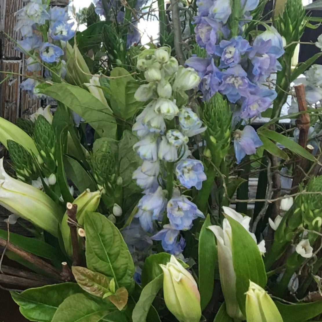 Farmer-Florist Cowaramup – Raw Habitat Florist Margaret River